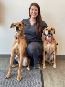 Harli - Westside Veterinary Hospital